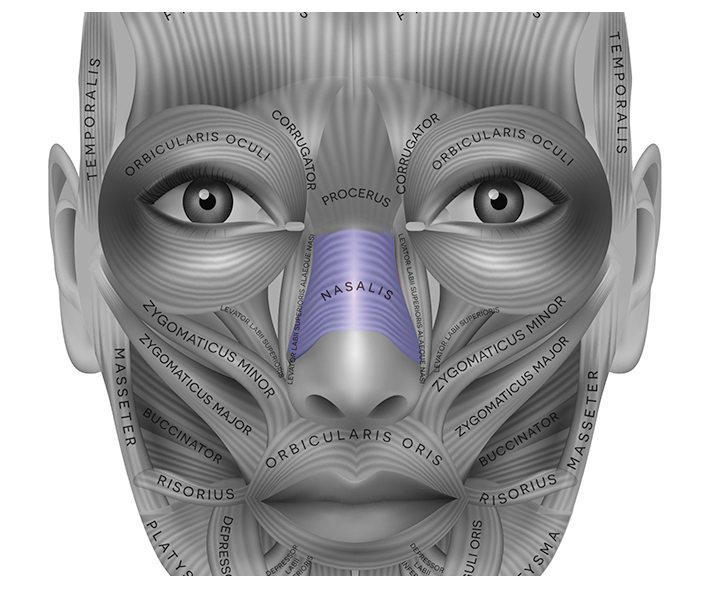 Botox® Treatment for bunny lines | Torrance, CA — Lumier Medical