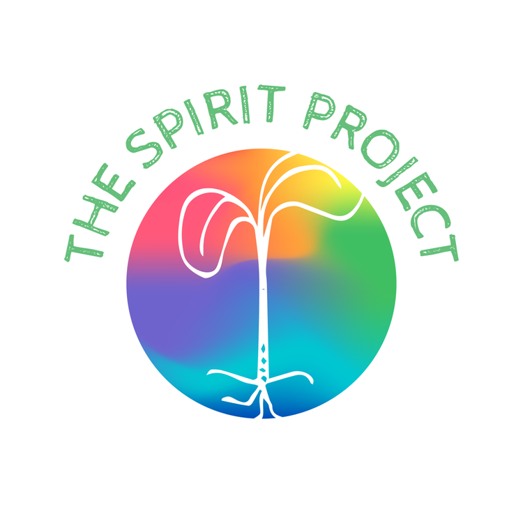 The Spirit Project — Solo Chicken Productions