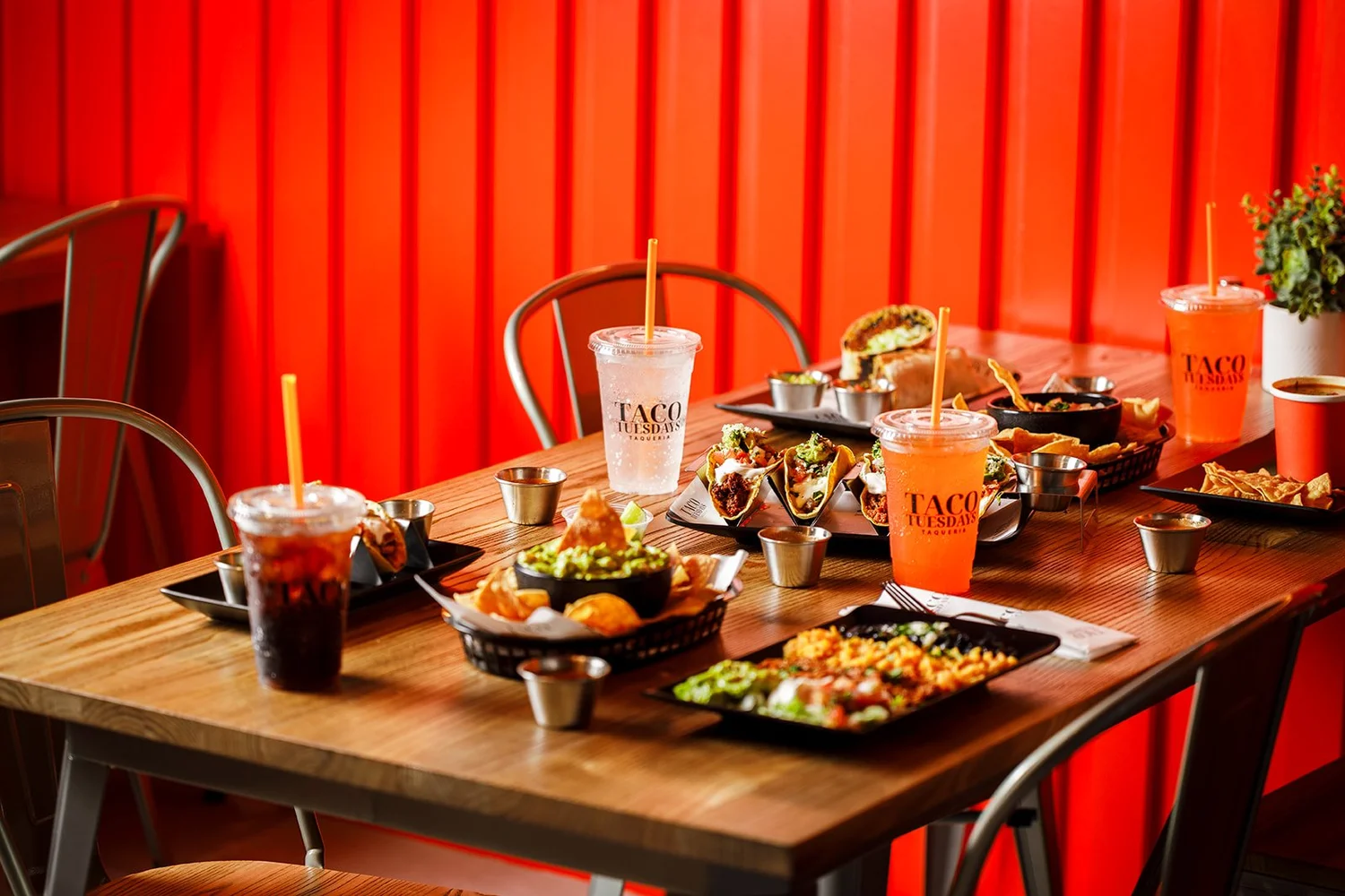 Taco Tuesdays Taqueria