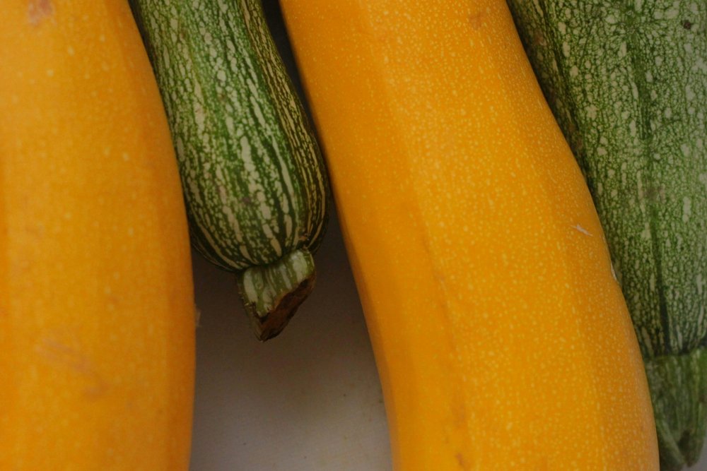 7 Vegetable to Plant in the Summer Garden — Among Wild Things