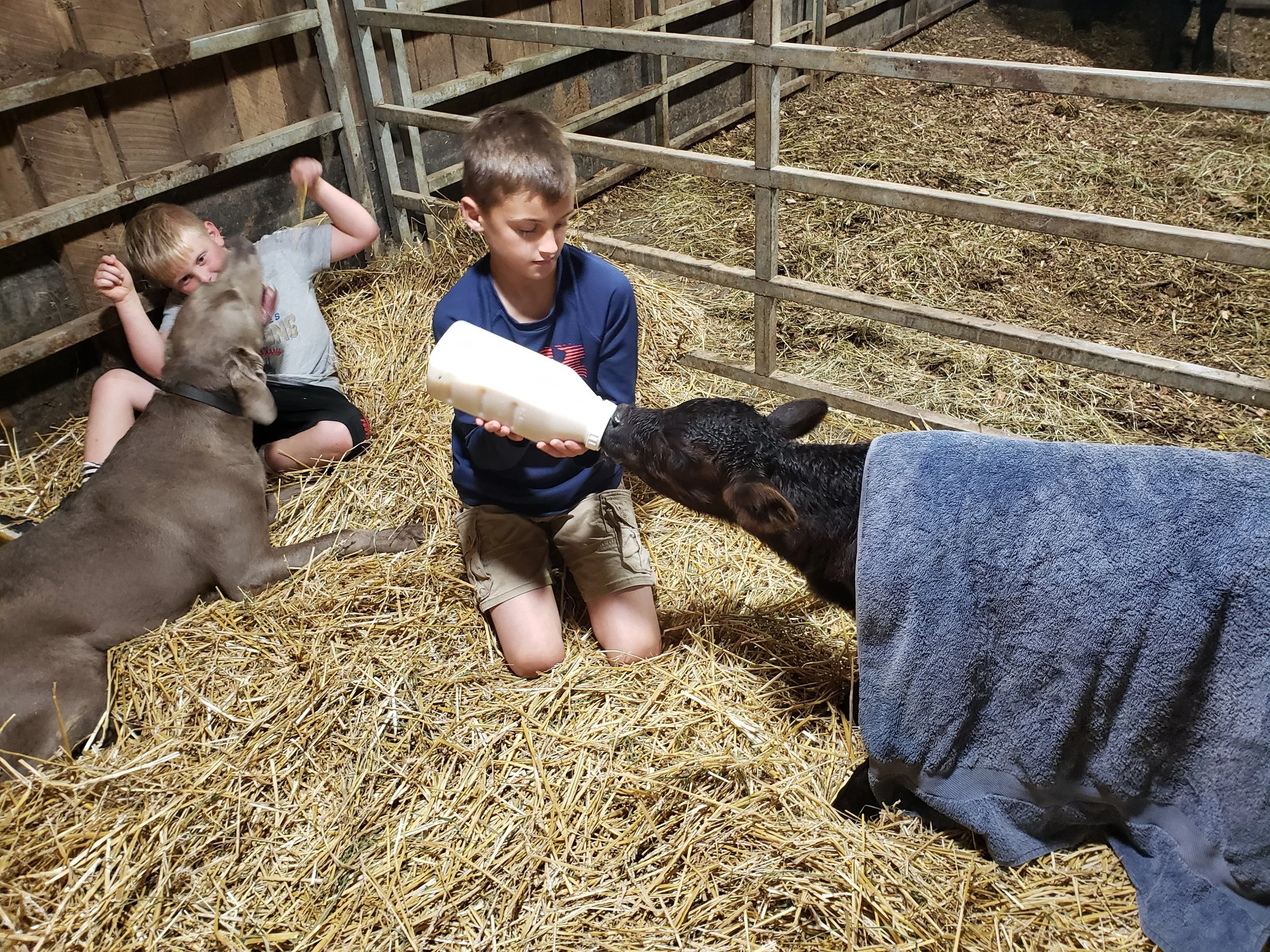 ES Meats | Grass Fed, Corn Finished Beef | Farm Raised Pork & Chicken ...