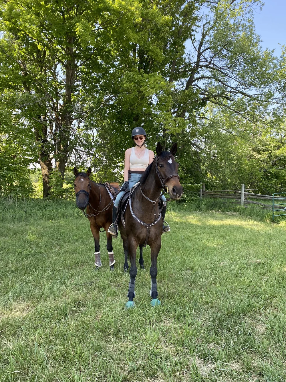 Boarding — Silverwood Stables