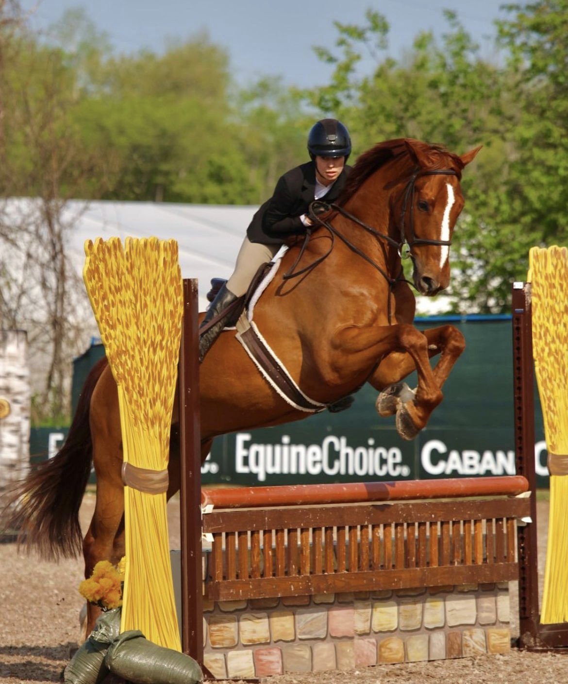 Lesson Program — Silverwood Stables