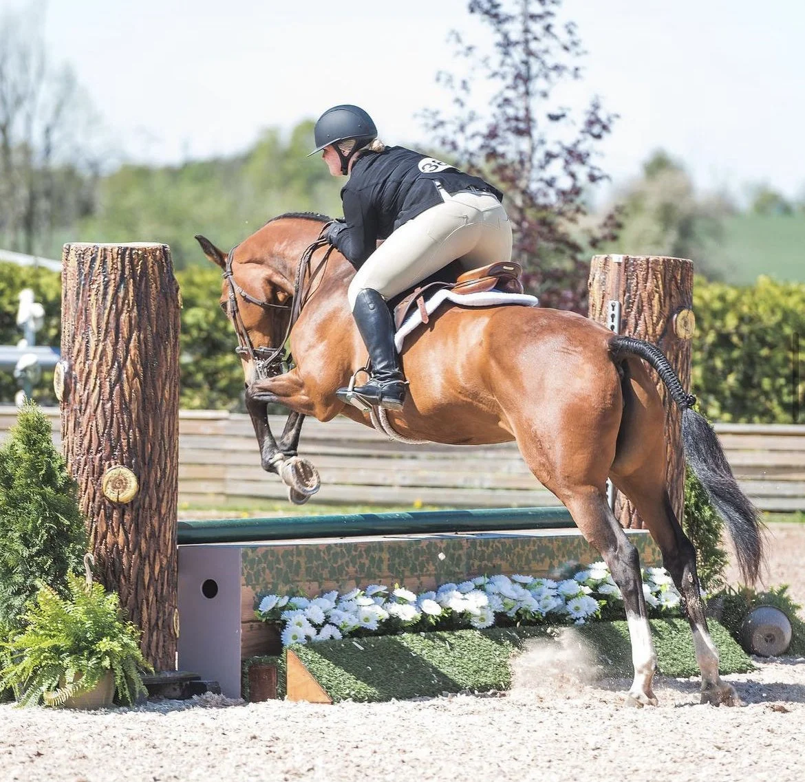 Lesson Program — Silverwood Stables