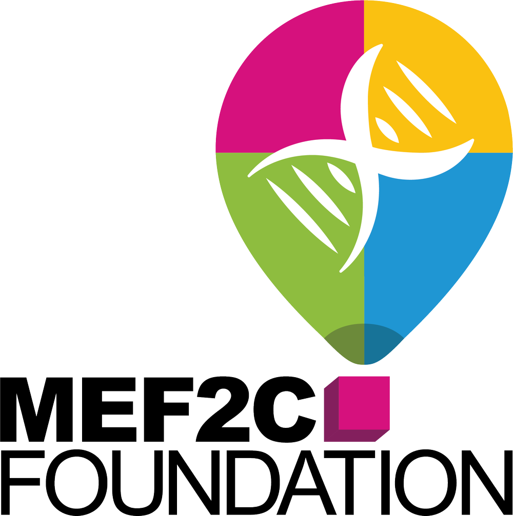 Launching into the Journey to Develop Treatments for MEF2C ...