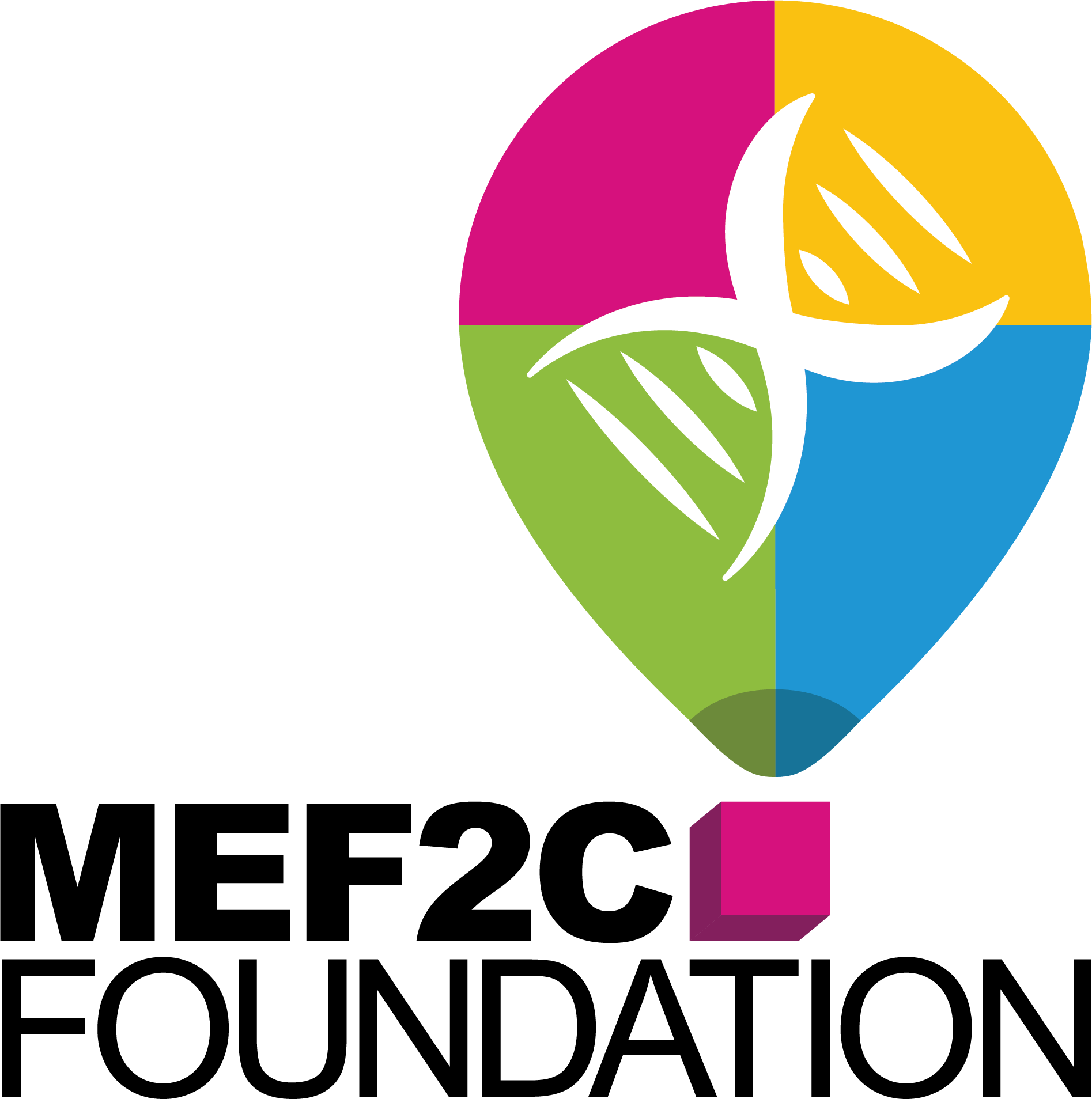 Launching into the Journey to Develop Treatments for MEF2C ...