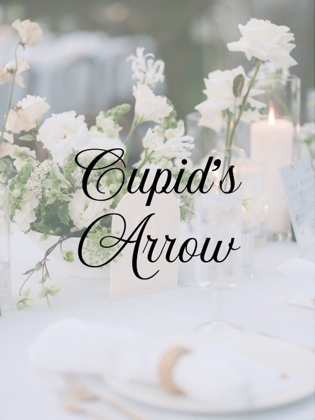 Services — Cupid Content Co.