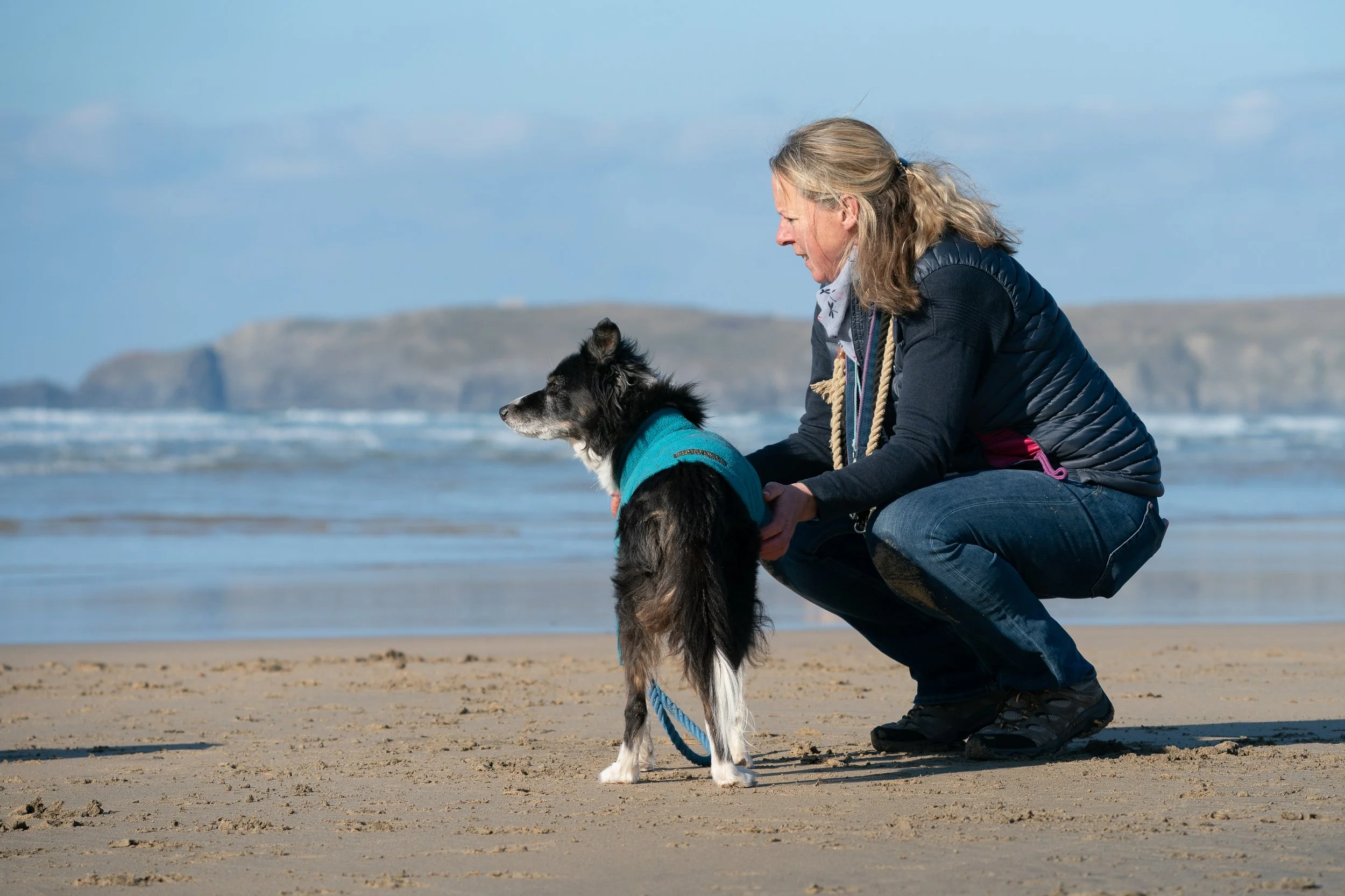 Scentwork Training for Dogs in Worcestershire — Pauline Whittaker Dog Training, Behaviour ...