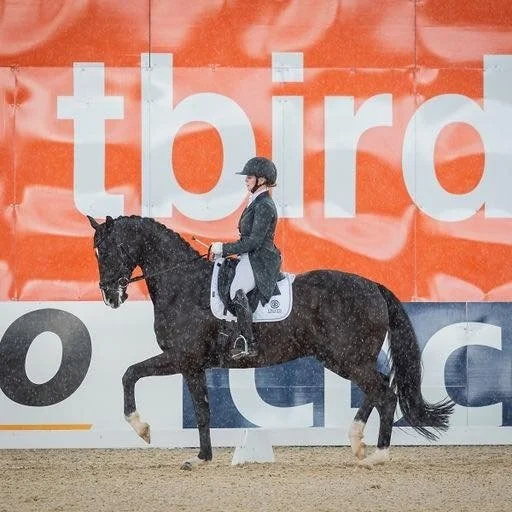 Veluto Equestrian Center