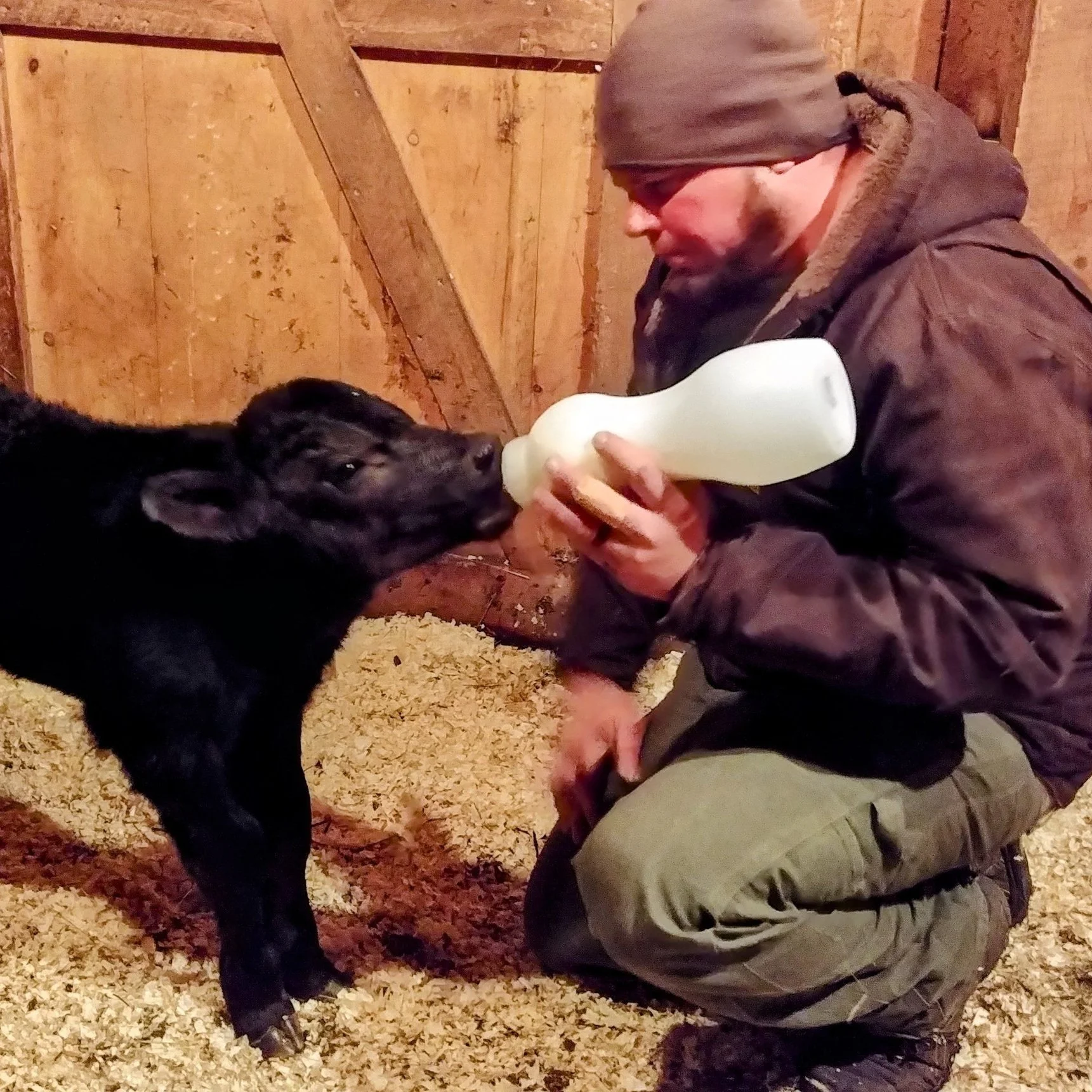 Mountain Breeze Farm | Pasture Raised Beef & Pork | Local Maple Syrup ...