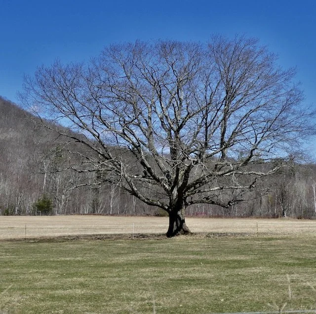 About | Family Owned & Operated | Sandwich, NH — Mountain Breeze Farm
