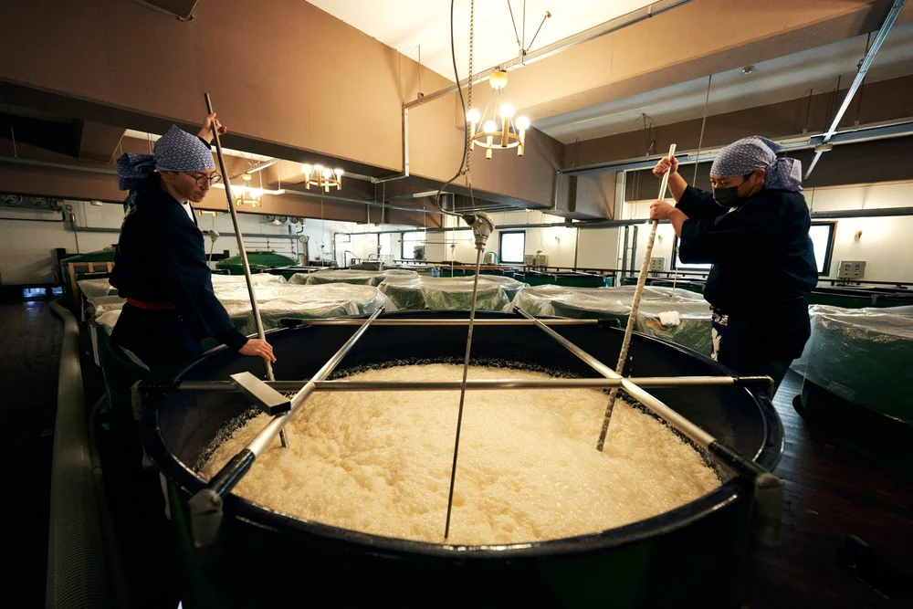 Qué es el sake Cómo se hace — El mundo del sake