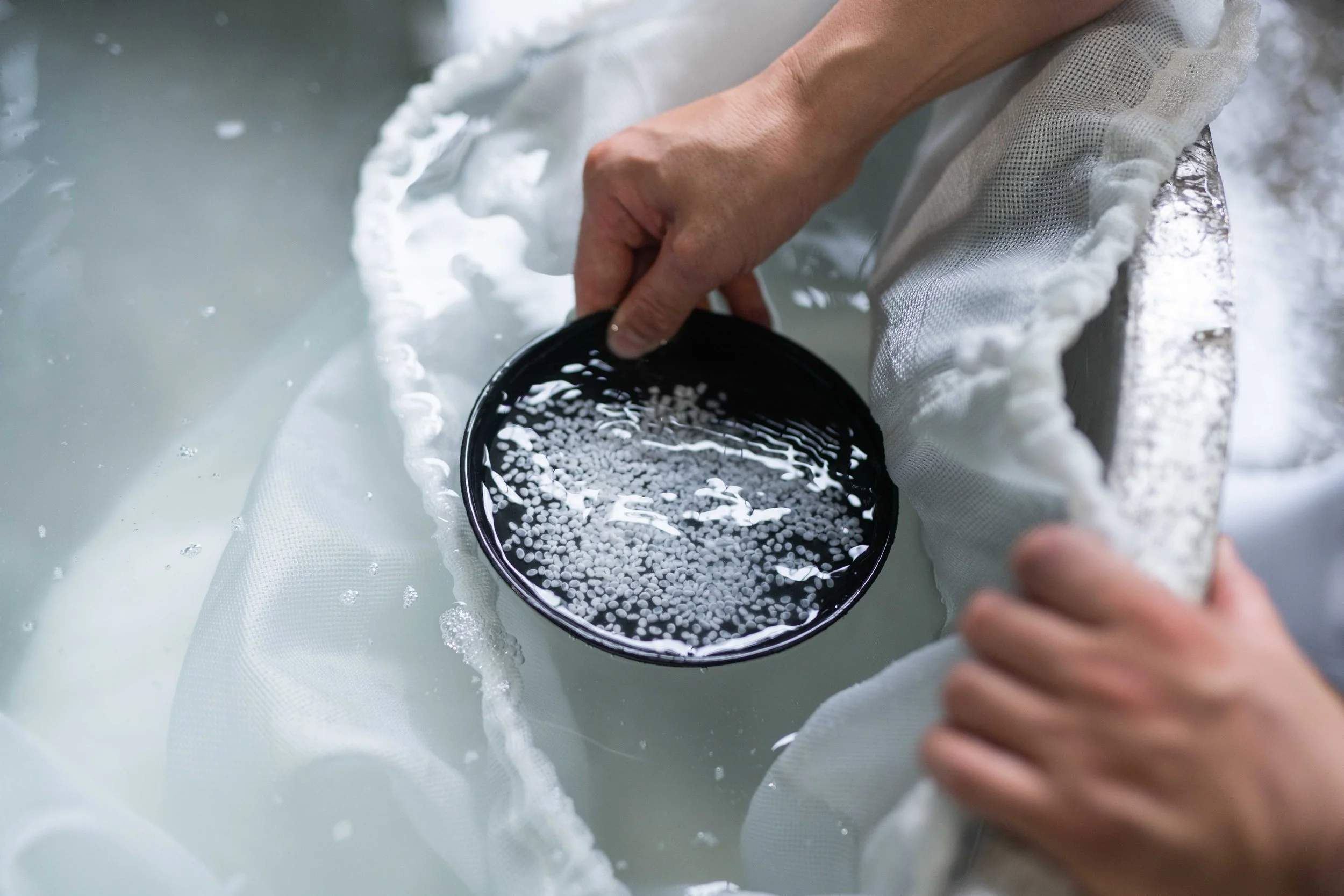 Qué es el sake — El mundo del sake