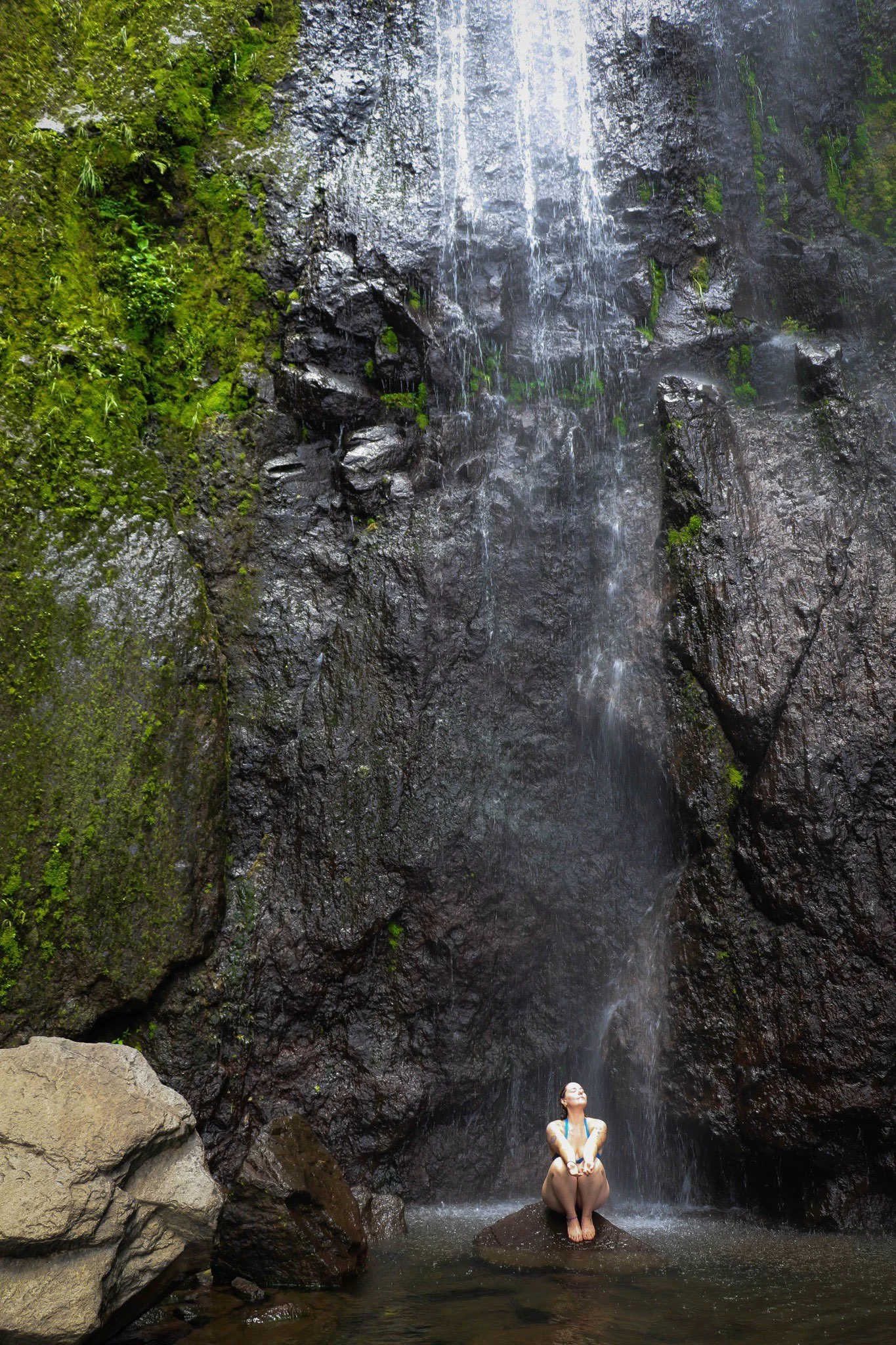 bio — isabel allen