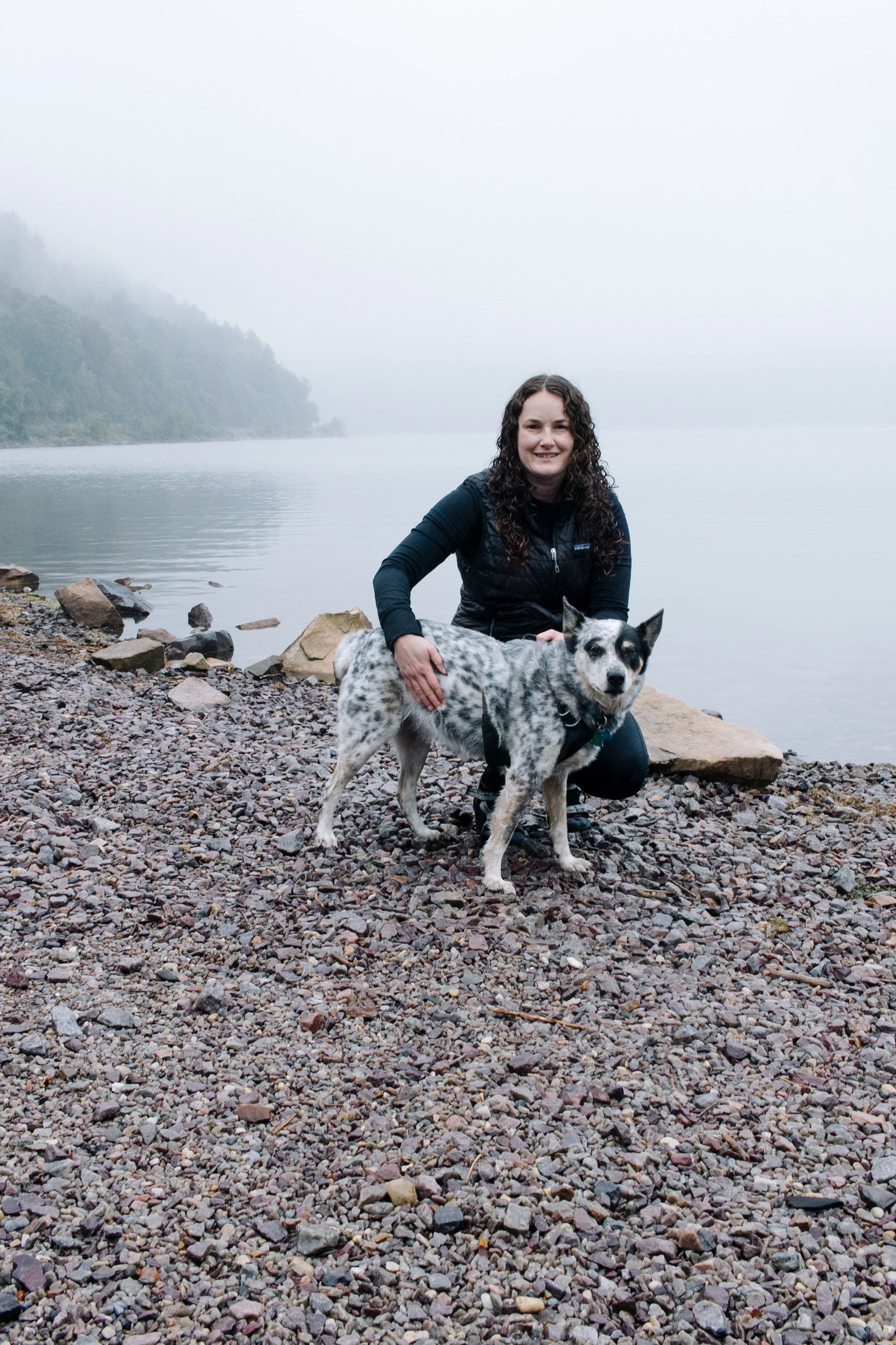 6 Tips for Hiking and Camping with your Dog for a Memorable Experience ...