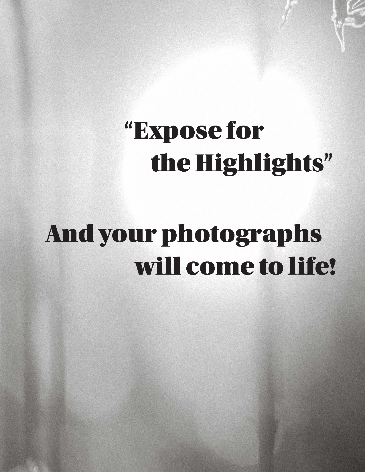 Exposure: A Field Guide for Understanding Exposure in Camera — Lauren ...