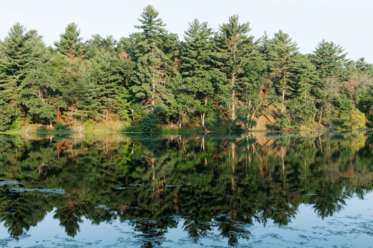Mirror Lake State Park — Lauren Lakeberg