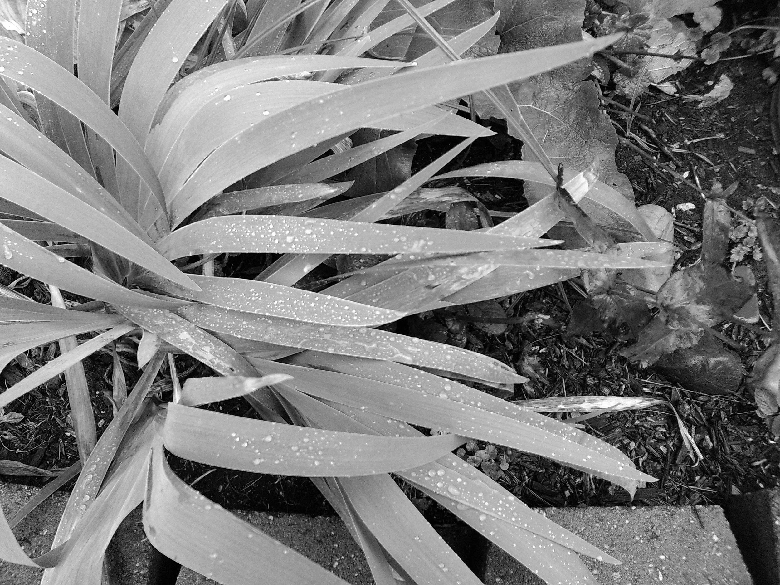 Camp Snap Camera Review — Lauren Lakeberg