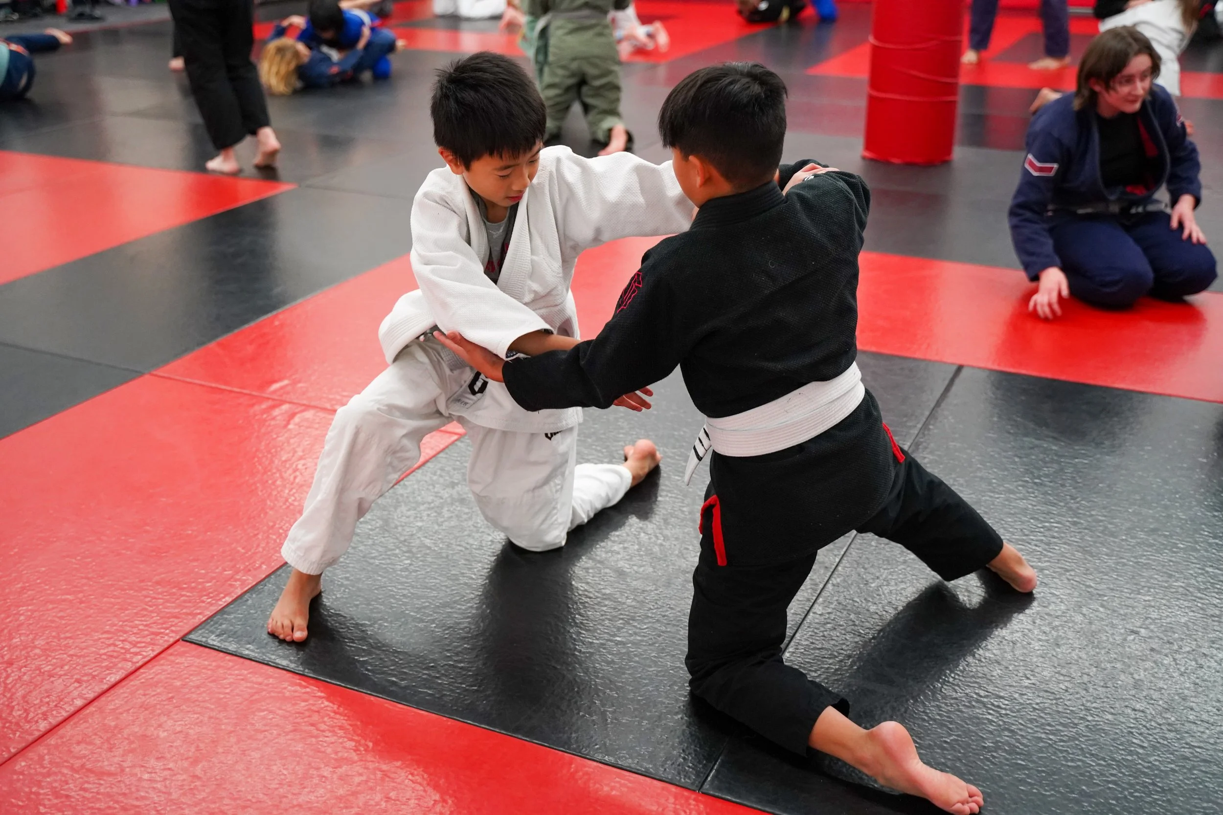Foster Brazilian Jiu-Jitsu