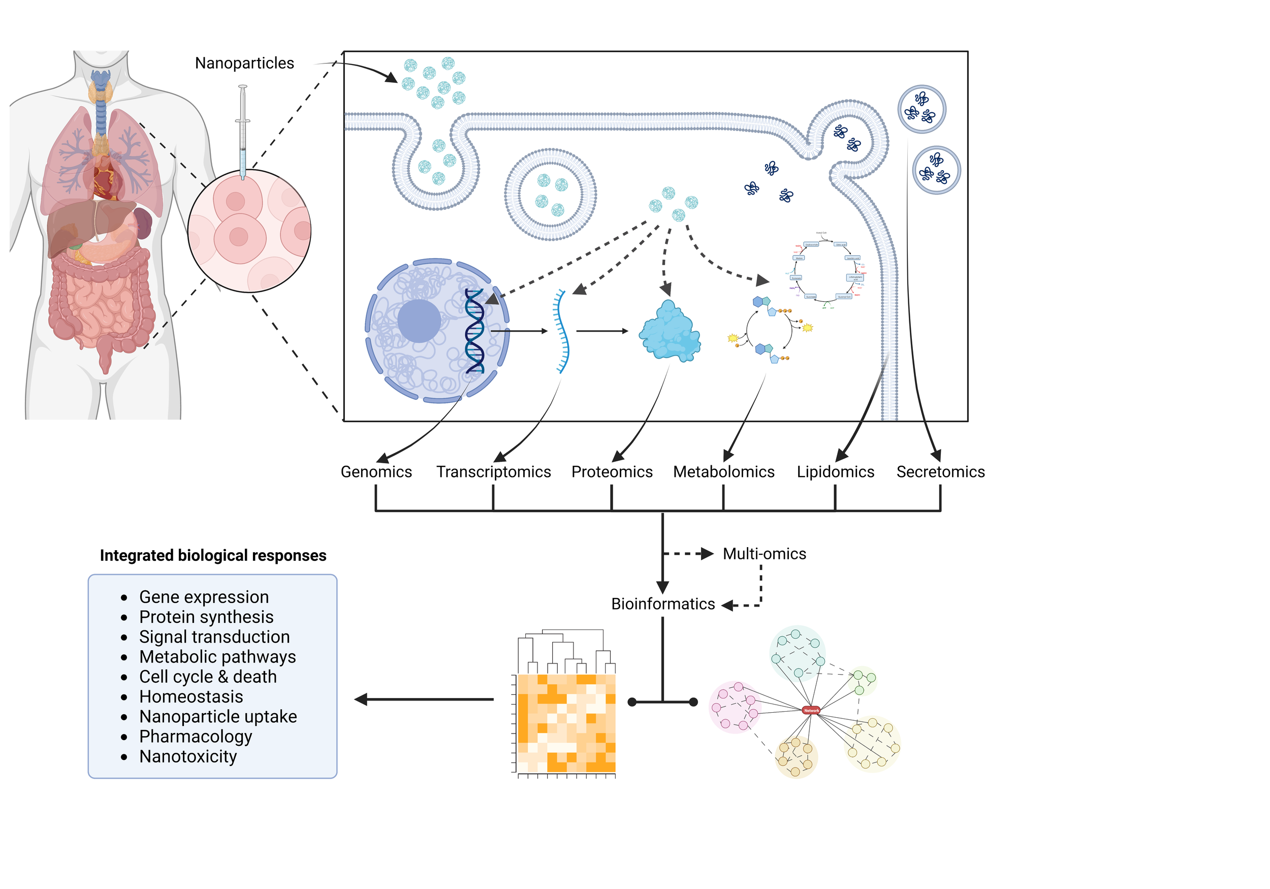Publications — LABOUTA LAB