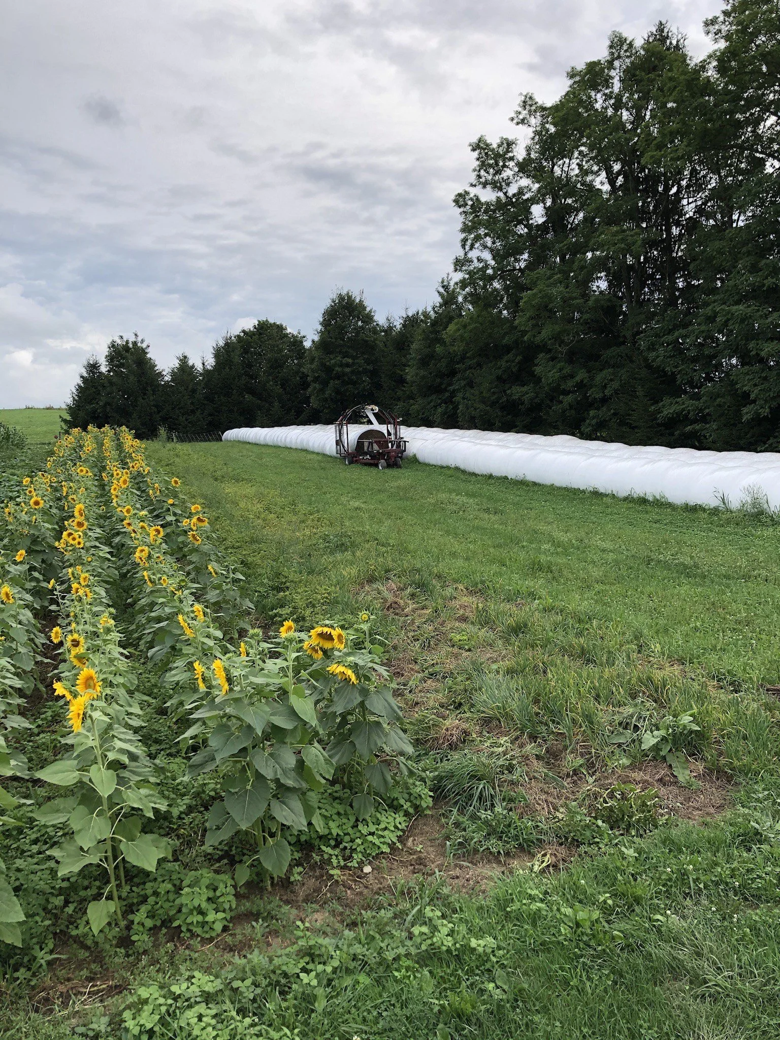 About — McCormick Family Farm LLC