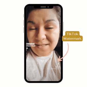 The Easiest Way To Save Instagram Reels and TikToks Without a Watermark ...