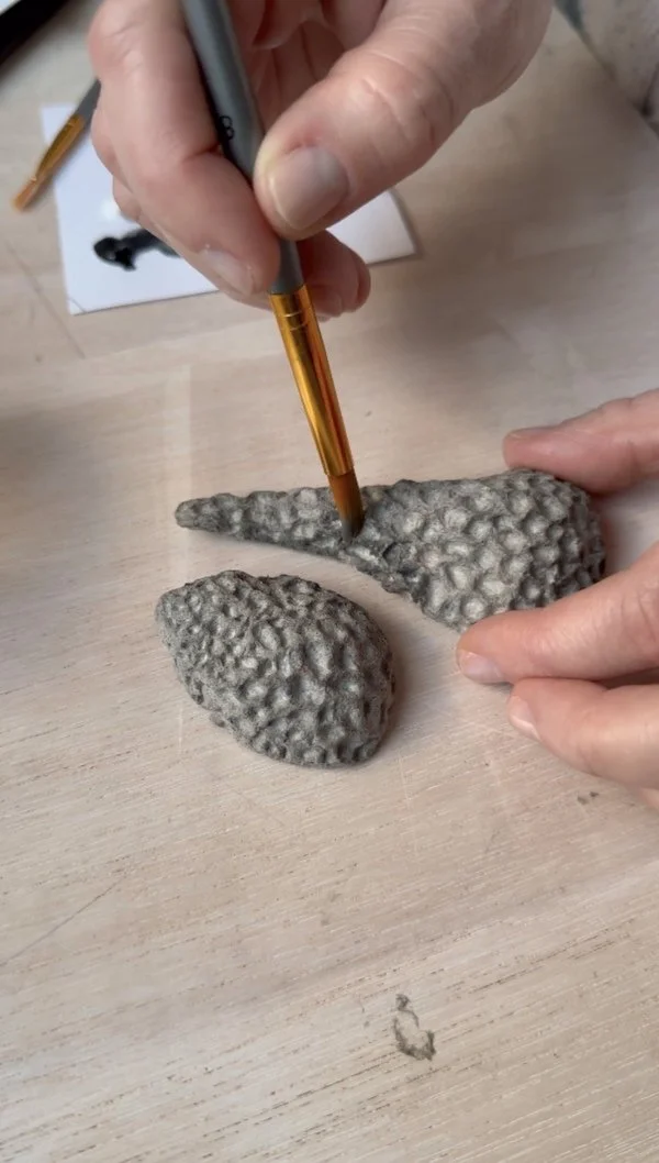 DIY: Nature-Inspired Magnets That Bring Fossils and Ocean Vibes to Life ...