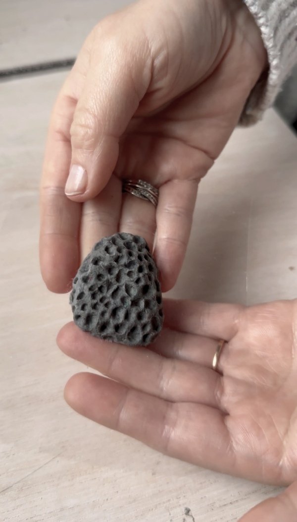 DIY: Nature-Inspired Magnets That Bring Fossils and Ocean Vibes to Life ...