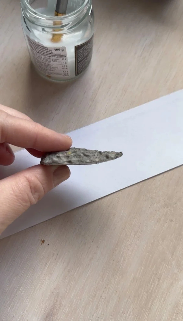 DIY: Nature-Inspired Magnets That Bring Fossils and Ocean Vibes to Life ...