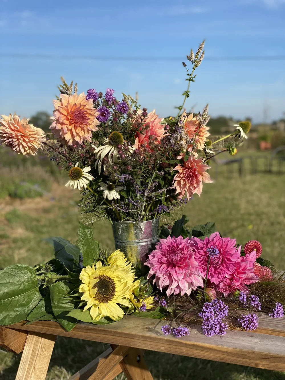 PYO Flowers — Gingerly Green Flower Farm