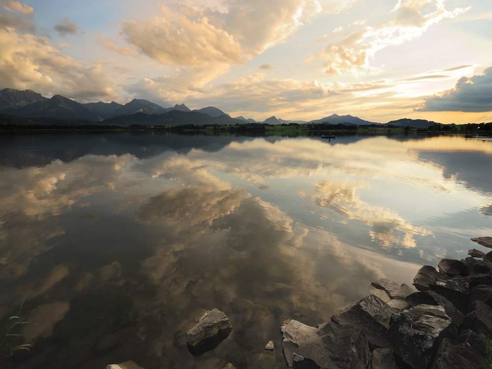 Interactive Workshops and Webinars | Engaging Events for Every Audience ...