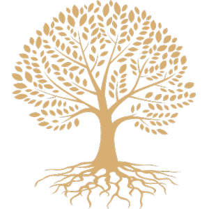 Braver than Before ® (Healthcare) | The Bravest Path: Building ...