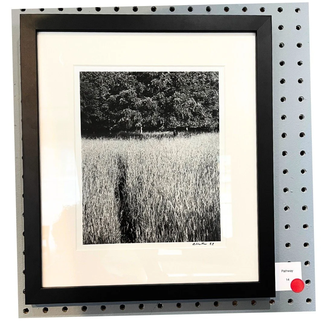 The Frame Shoppe & Gallery