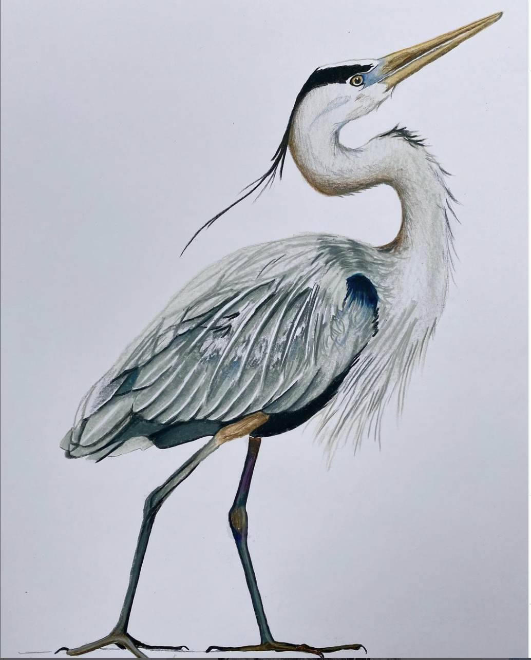 Balancing Creativity and Business: Insights from Artist Shelby Hamilton ...