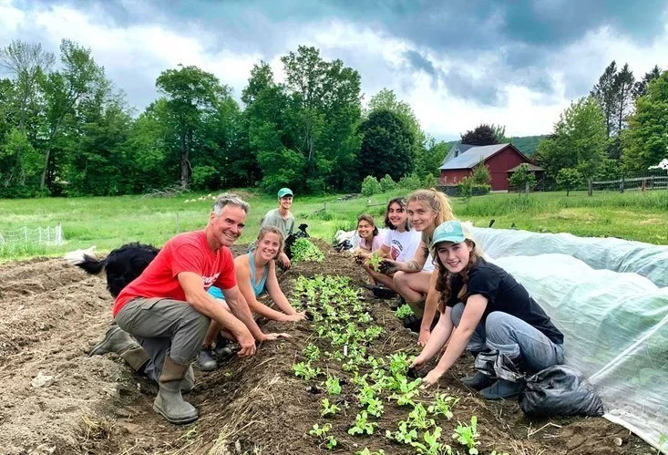 Farm Fresh Produce at Red Shirt Farm Store: Discover the Finest ...