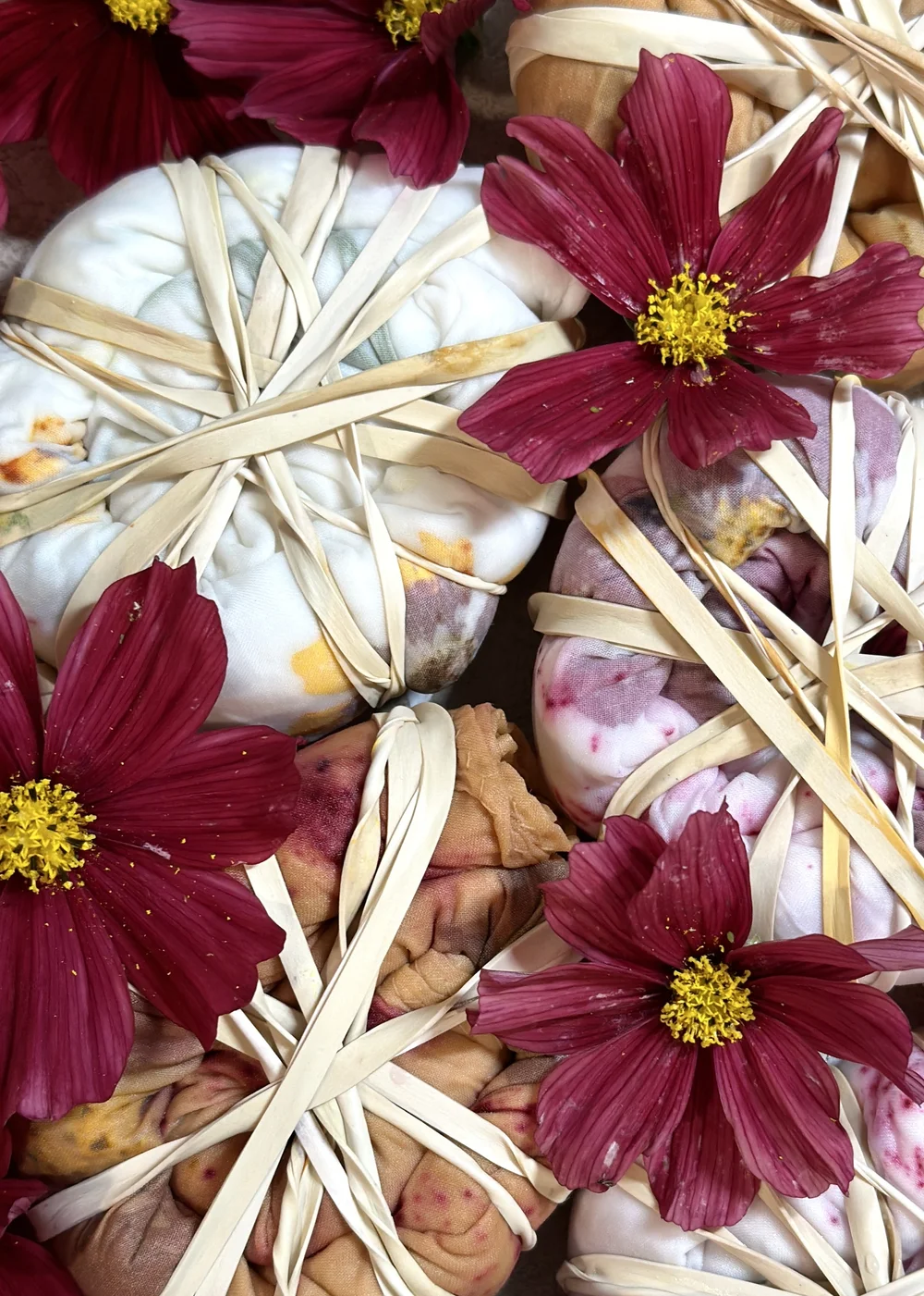 Workshops — Textile Arts Center of Madison