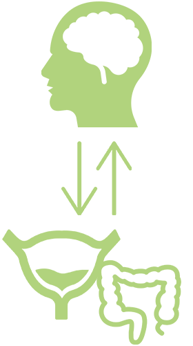 Axonics Therapy — Boston Urogyn