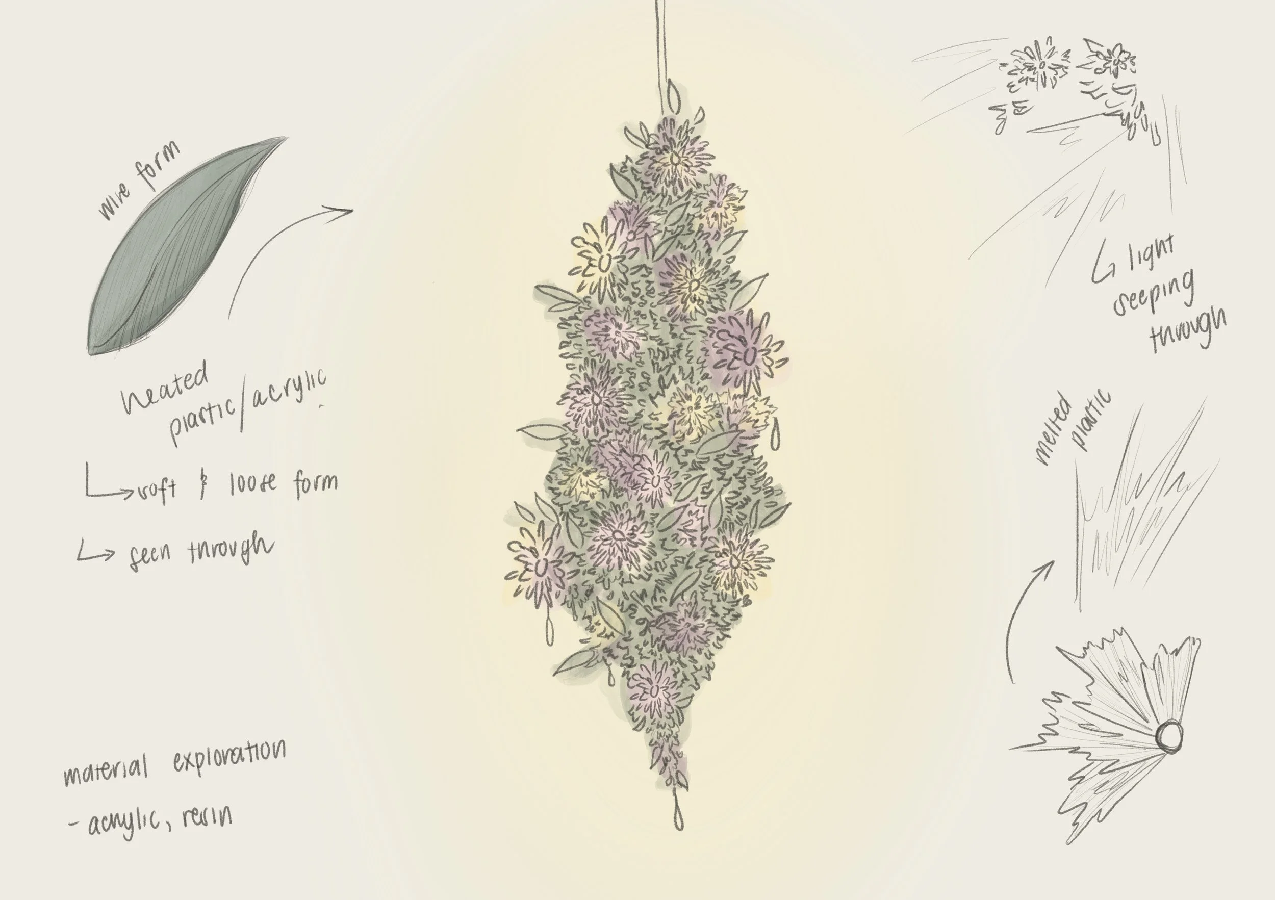 COCOON — toniannhoffman