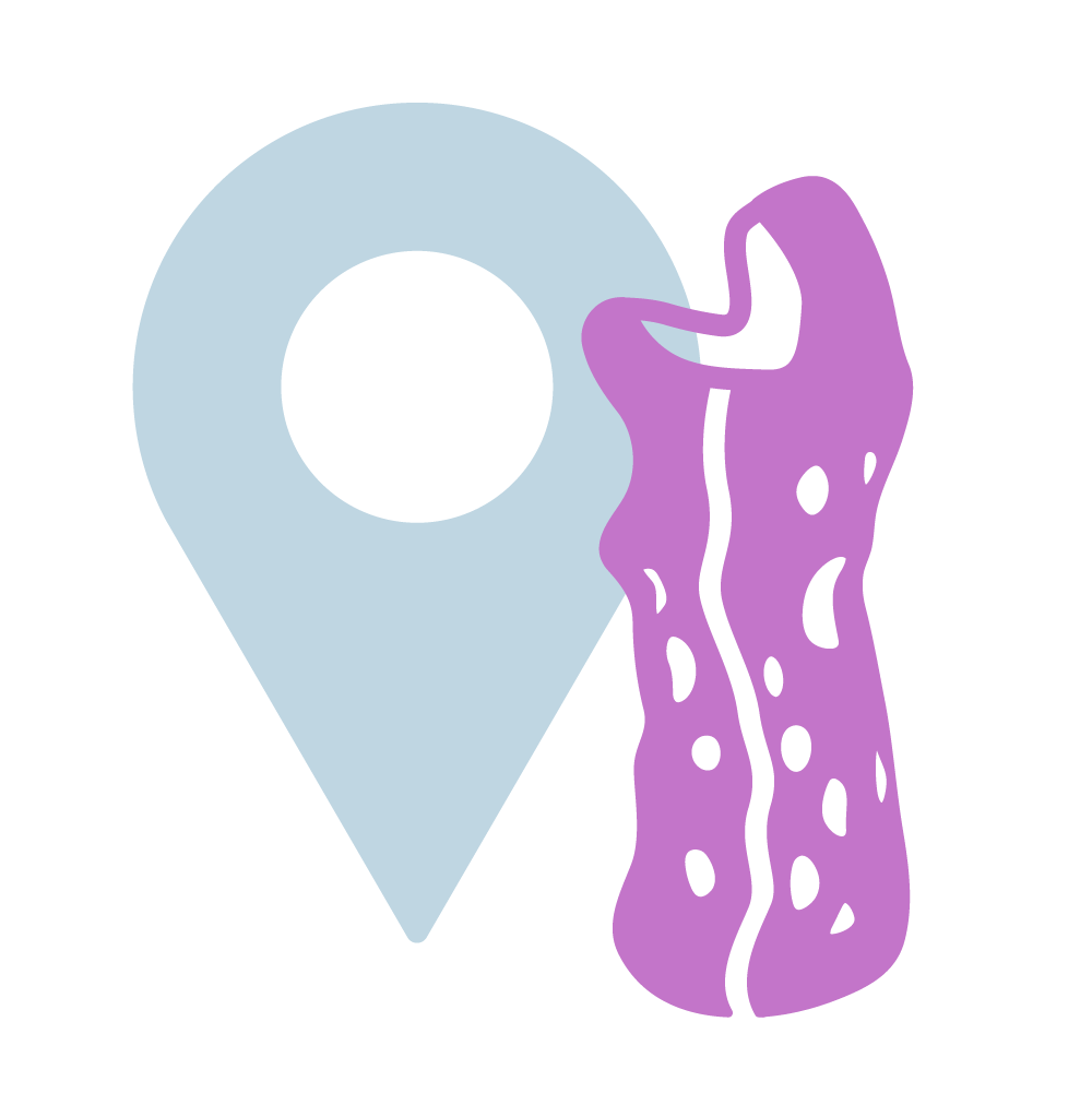 About Us | ActivArmor | Custom 3D Printed Casts and Splints