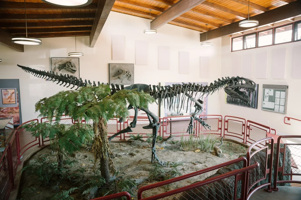 Finding Dinosaurs in the Desert VIDEO — Bound For Nowhere