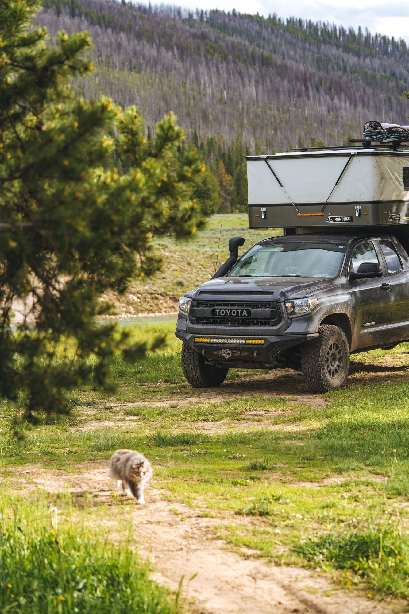 Jackson Hole Wyoming Vanlife (Video and Blog) — Bound For Nowhere