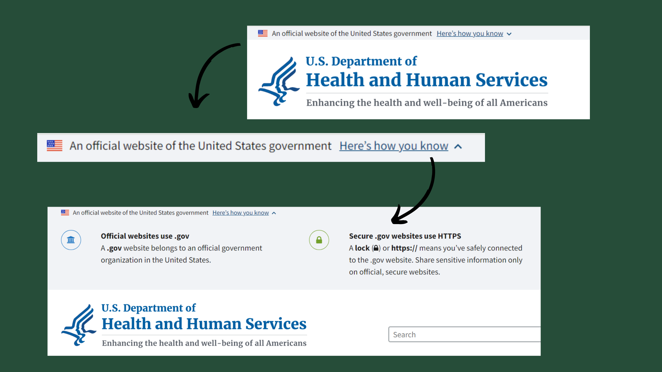 NZ govt websites are wild and free - should we reign them in? — Seamus ...