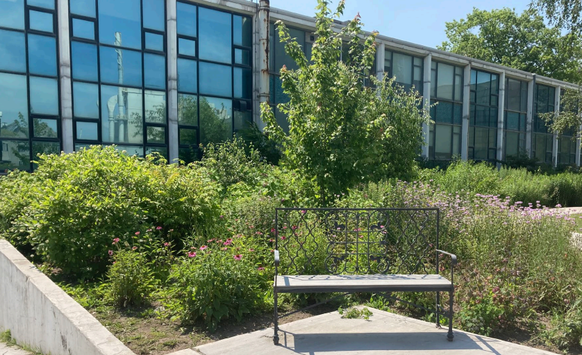 Mississauga — ASH GROVE