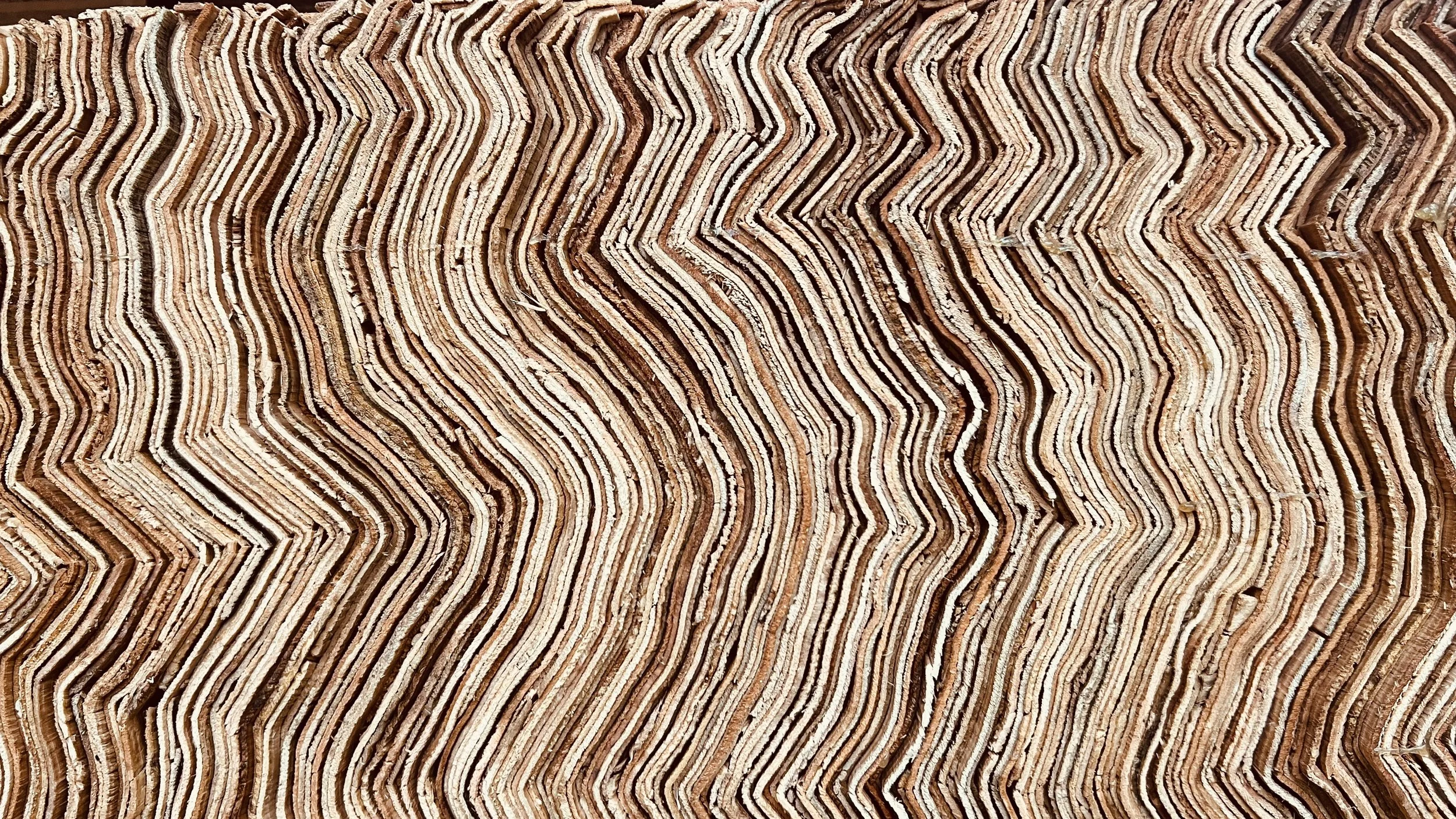 Spotted Gum — Crafted Hardwoods