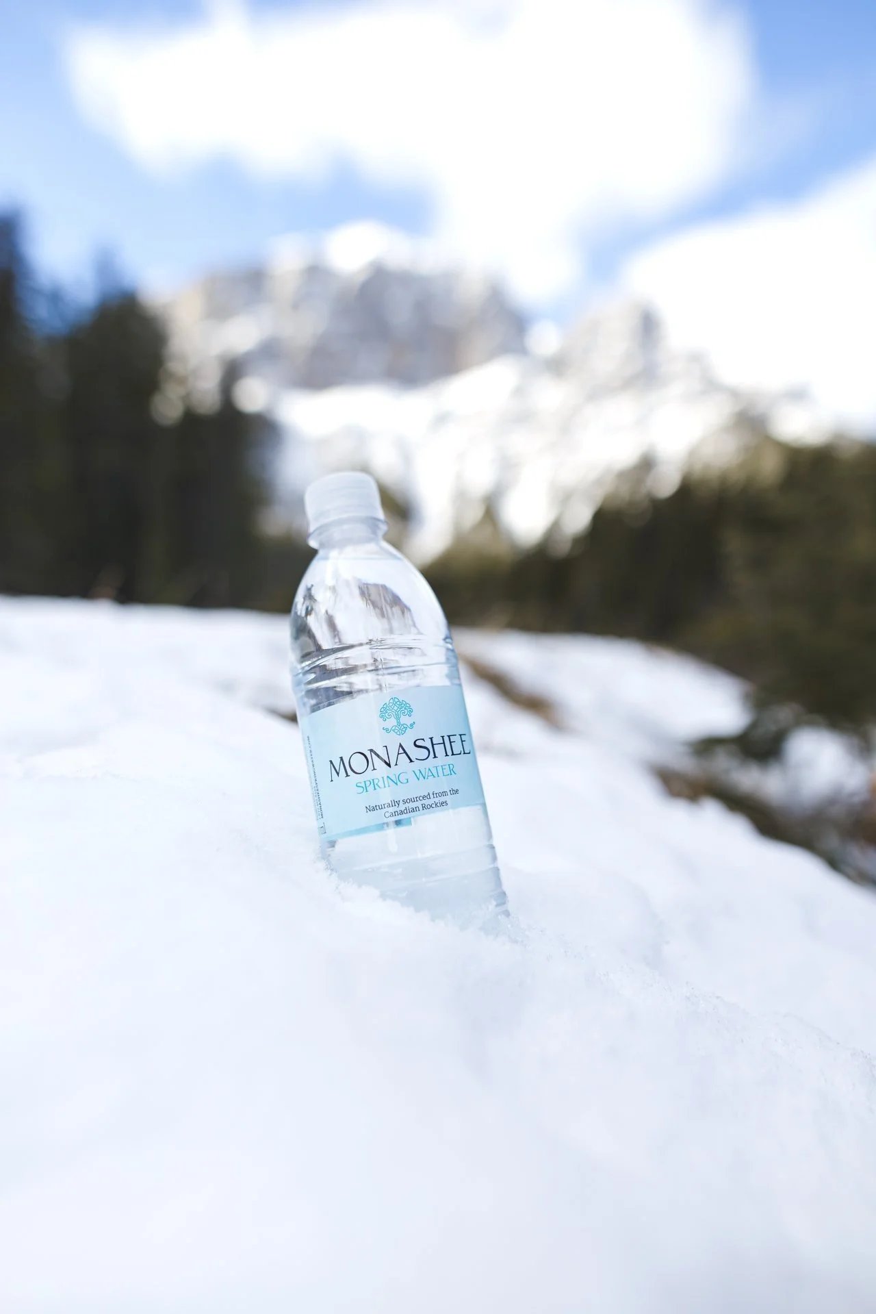 Monashee Spring Water