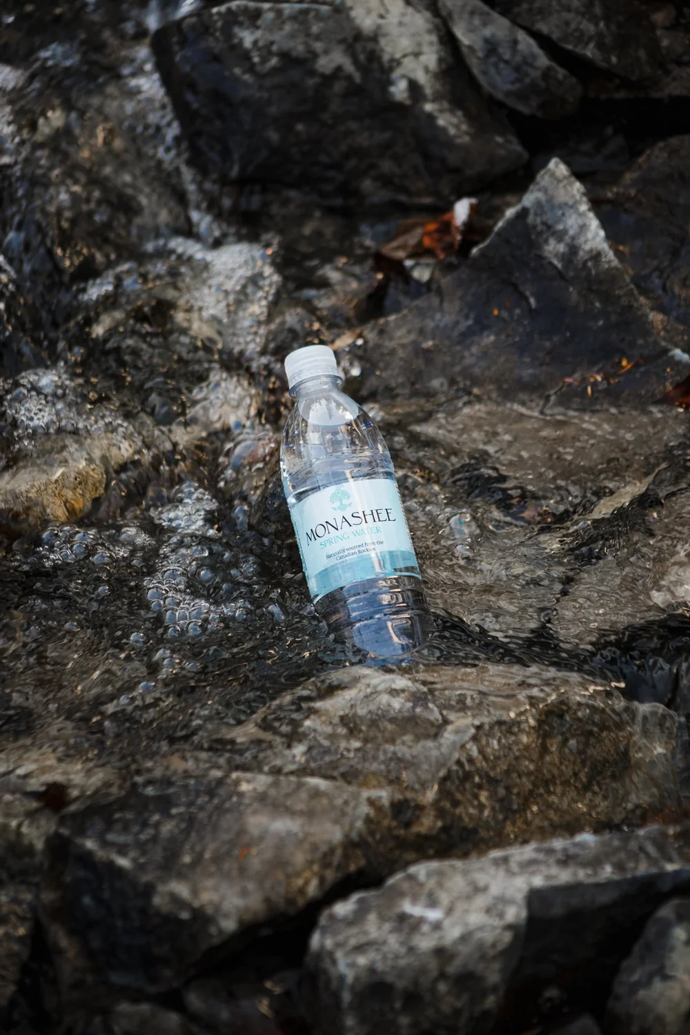 Store 1 — Monashee Spring Water