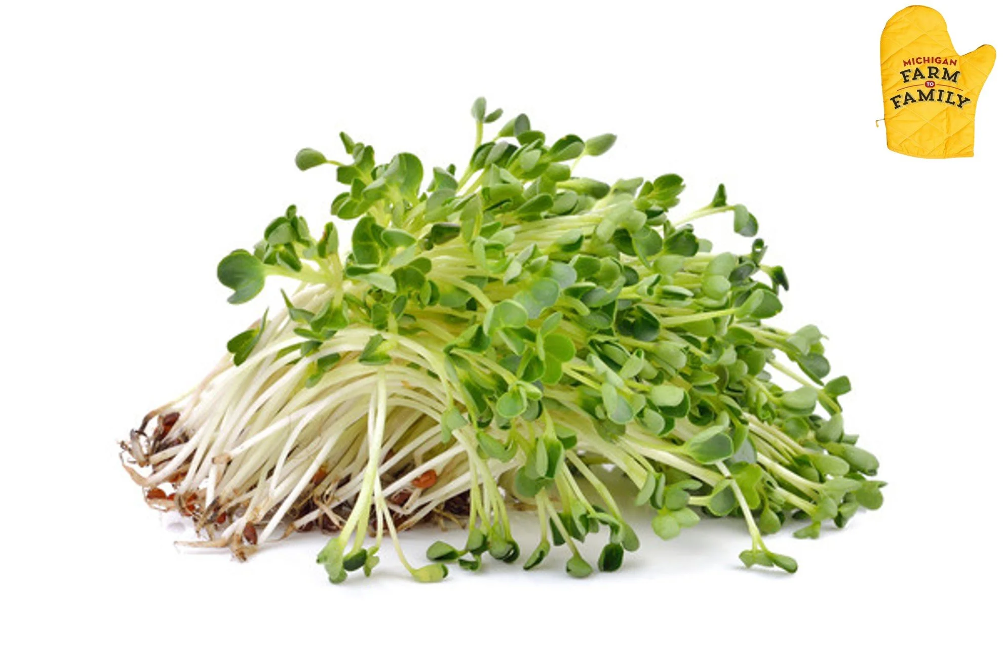 Store — Micro-Fresh