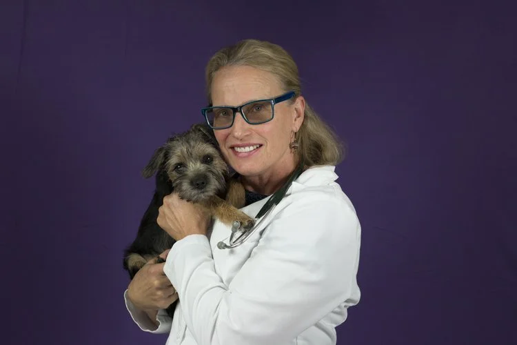 Meet the Veterinarians — Easthaven Animal Hospital