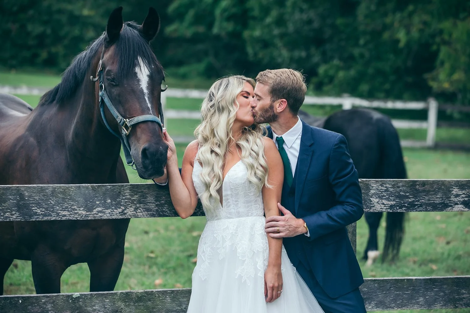 Ryan Portfolio — The Talented Photographer