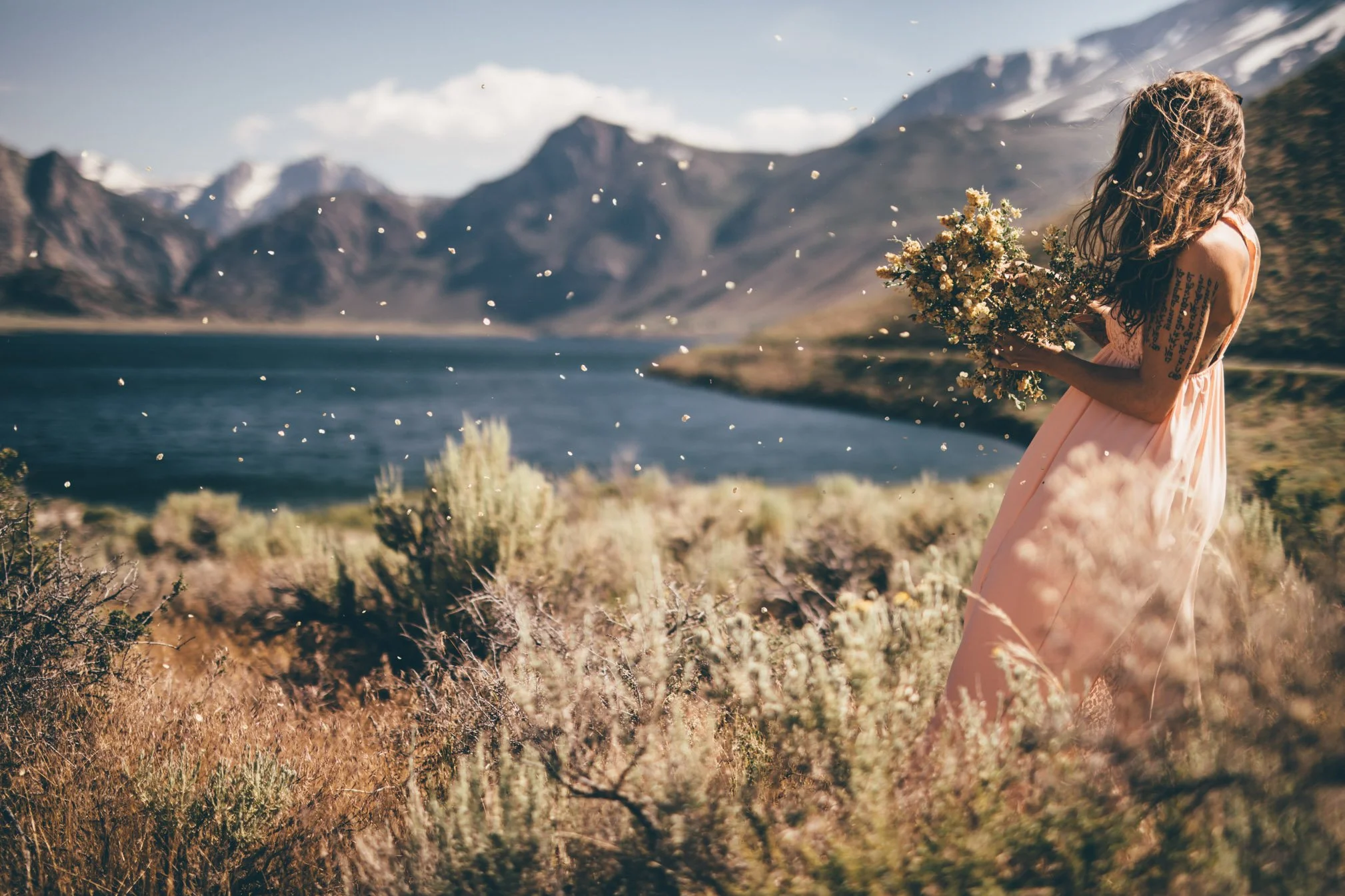 The Talented Photographer